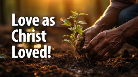 LOVE AS CHRIST LOVED! – Ephesians 5:25 Devotional | DailyEvotional